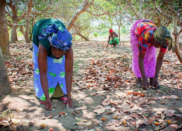 FairMatch Support | Corporate film with infographic animations and video